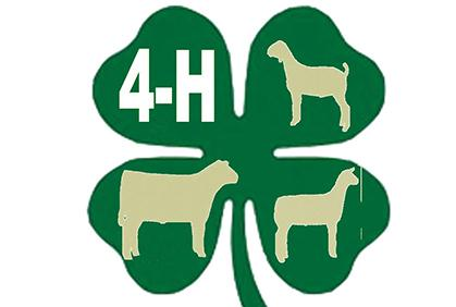 4-H & Youth Programs
